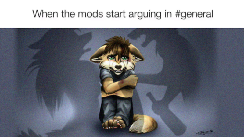 All you need to know about Furry Fighting Meme