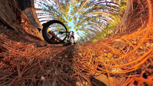 Top 3D Effect Video Editor in 2021