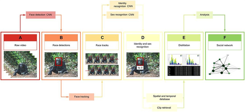 Top 5 Sharpen Video AI You Should Try Top 5 Sharpen Video AI You Should Try